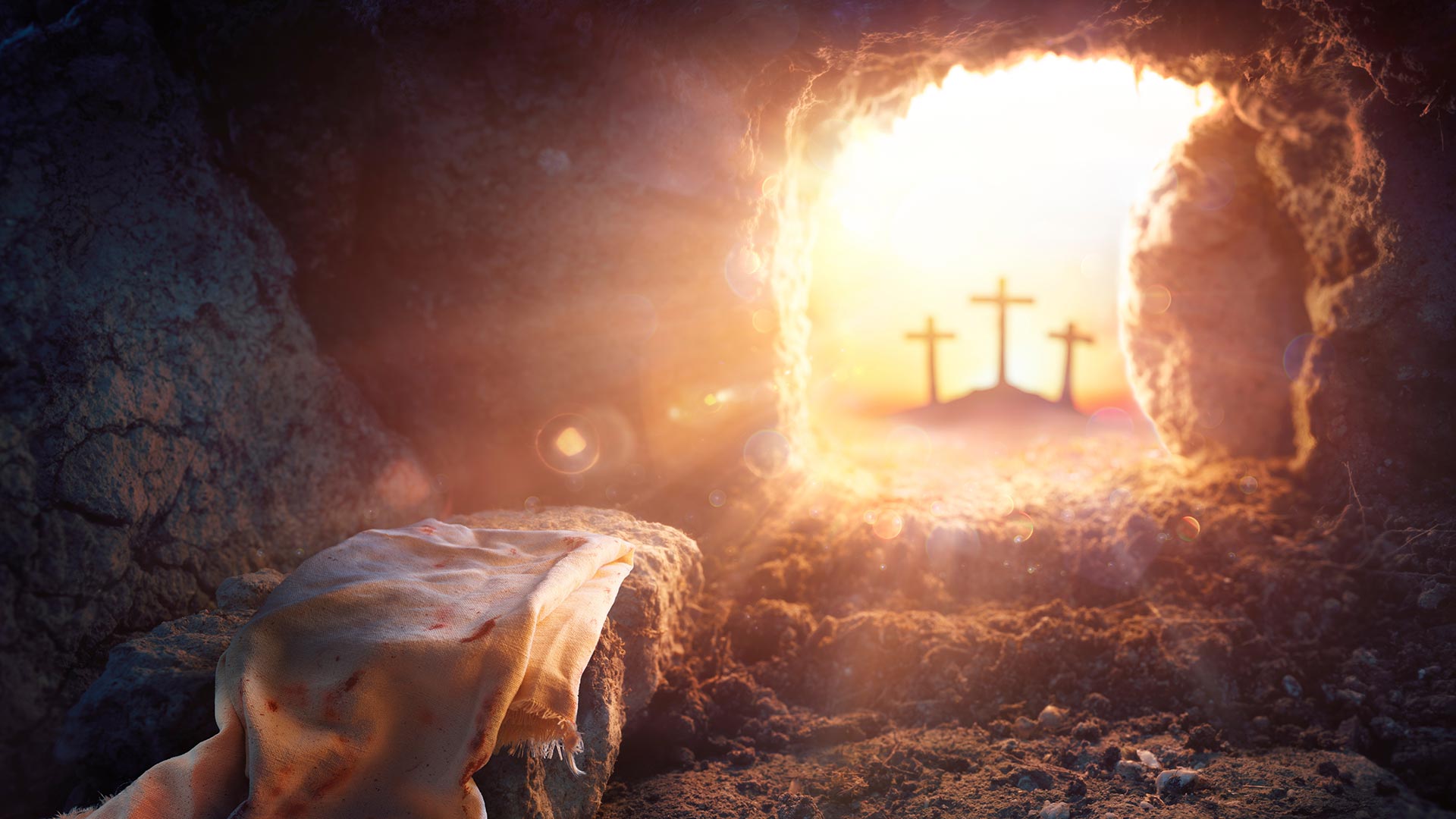 New Testament Studies Scripture Reflections Teaching R V Seep